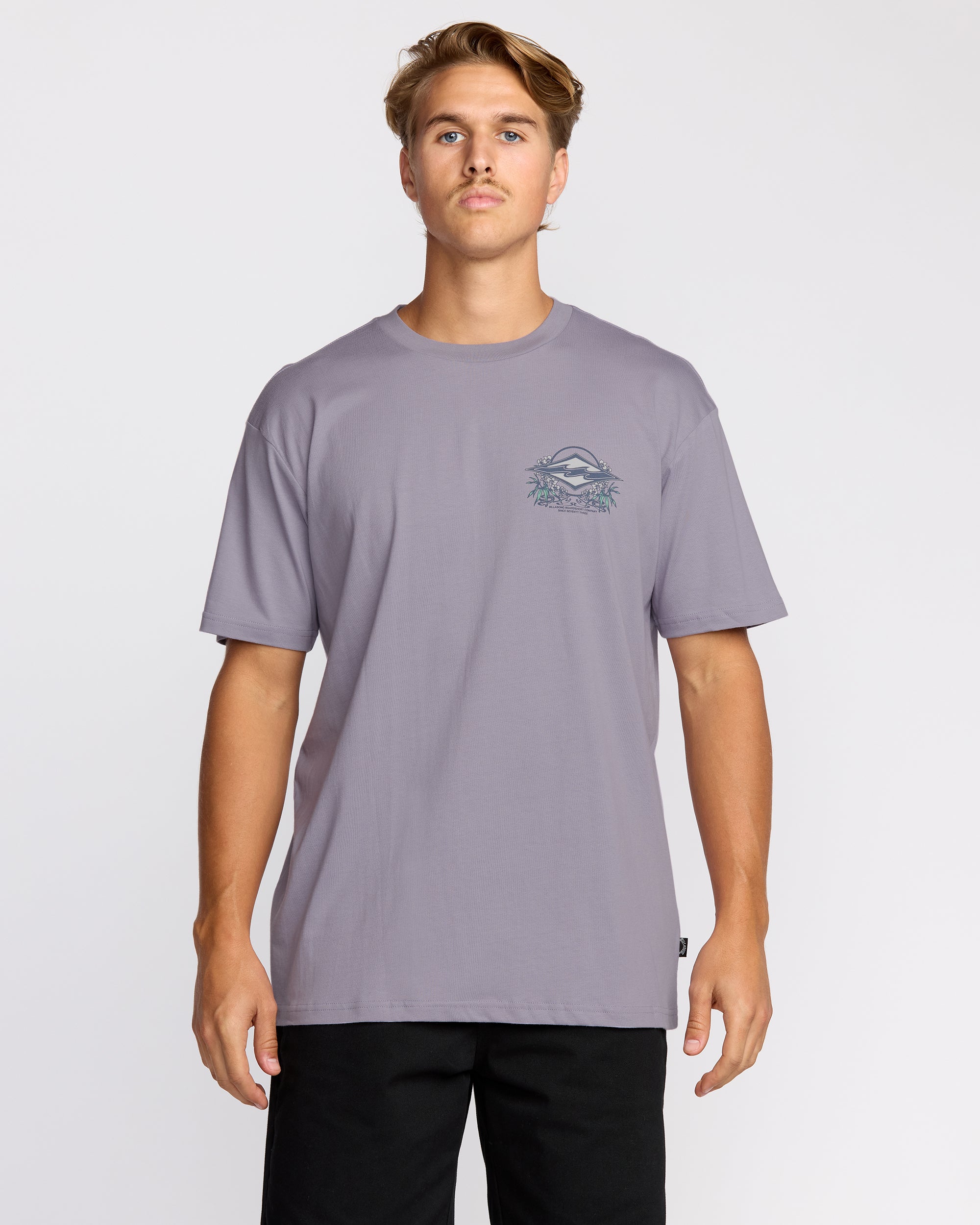 Jaybay Premium Short Sleeve T-Shirt - Light Purple | Billabong