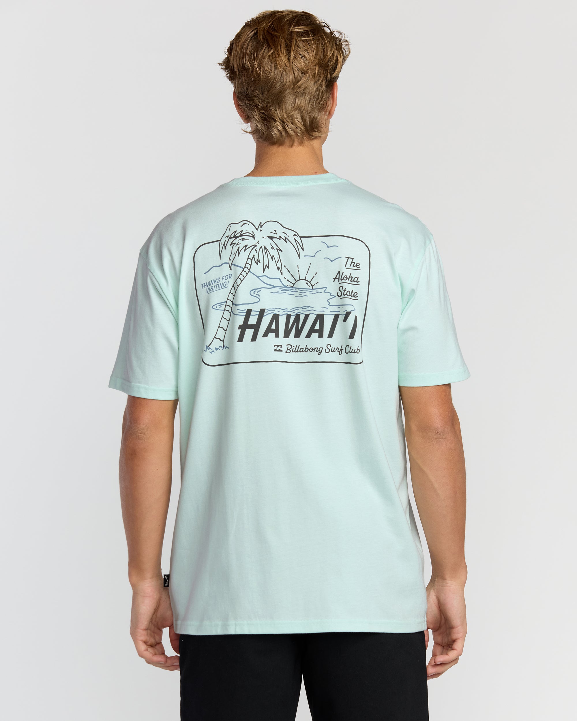 Lounge Hi Premium Short Sleeve T-Shirt - Sea Glass | Billabong