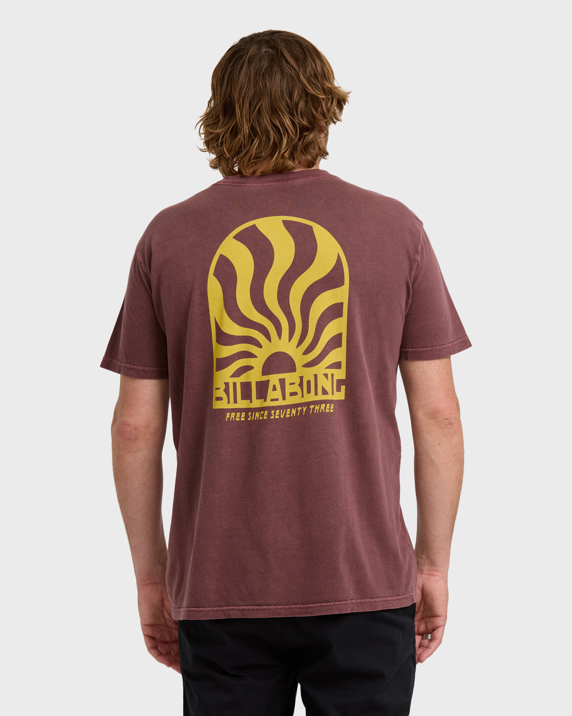 Sun Rays Premium Ww Short Sleeve T-Shirt - Plum | Billabong