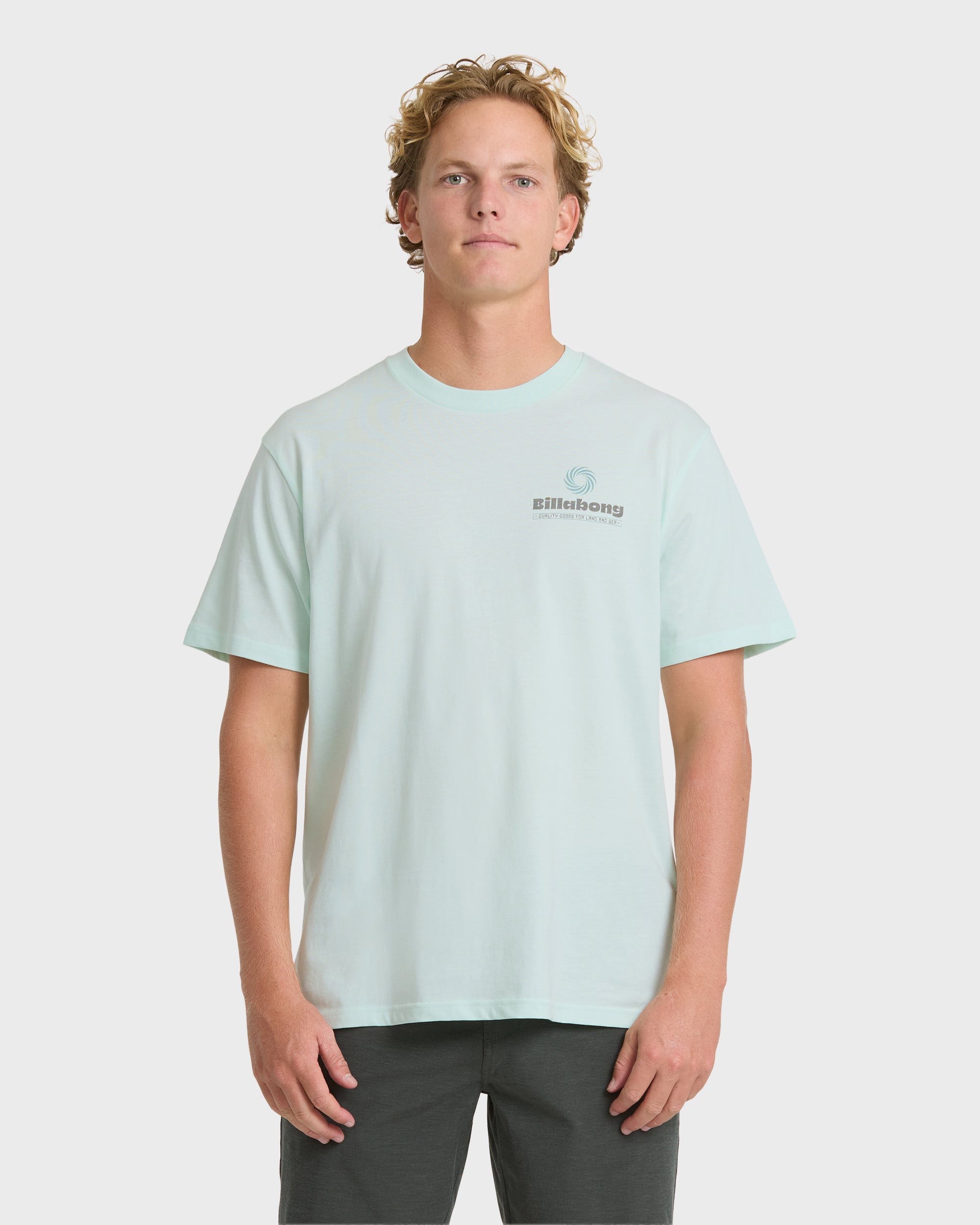 Single Fin Premium Short Sleeve Knit T-Shirt - Sea Glass | Billabong